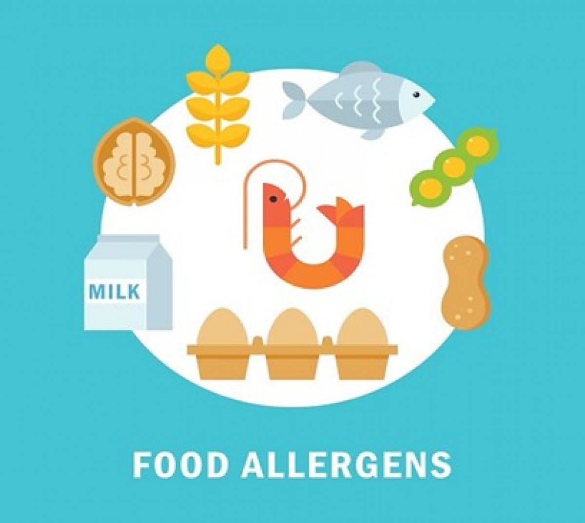 Food Allergy Awareness | St Martins Care